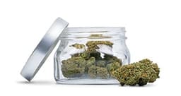 Affinity - Best Marijuana Dispensary New Haven & Bridgeport CT